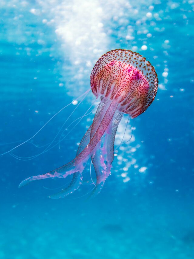 Best 10 Practices for Using ChatGPT in Animation - Wordkraft